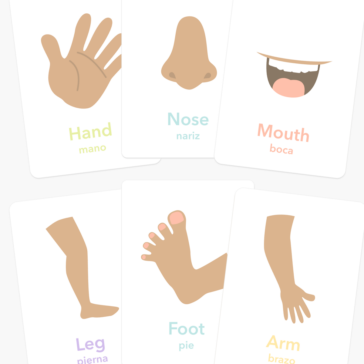 Body Parts Flashcards – The Autism Store