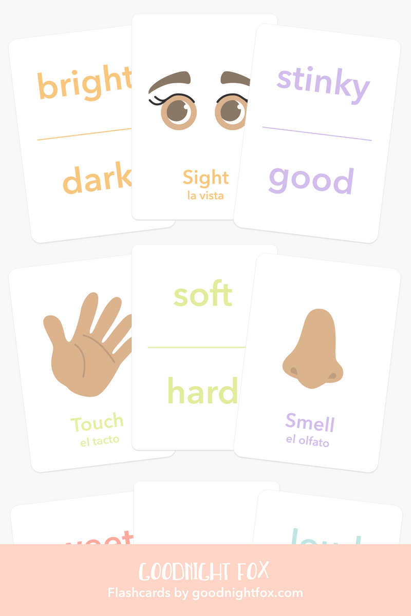 5 Senses Flashcards – The Autism Store