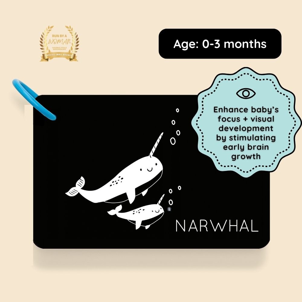 High-Contrast Vision Development Cards – The Autism Store