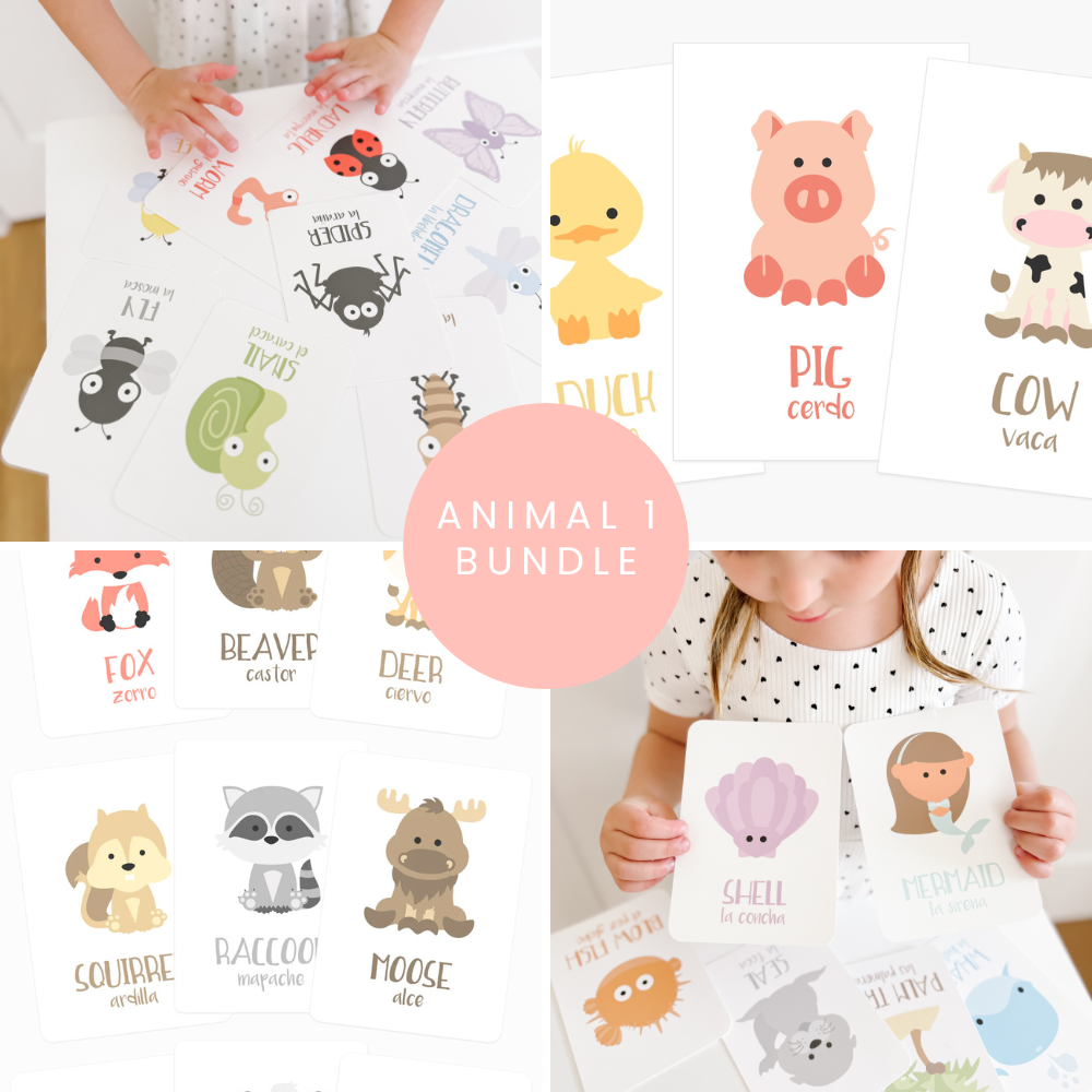 Animal 1 Flashcards Bundle – The Autism Store