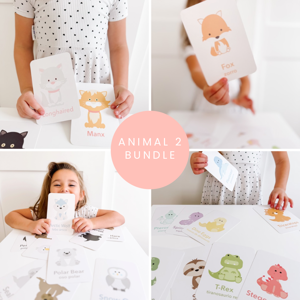 Animal 2 Flashcards Bundle – The Autism Store