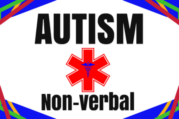 Autism Non-verbal Stick-N-Go Stickers Reusable Any Diagnosis Waterproo ...